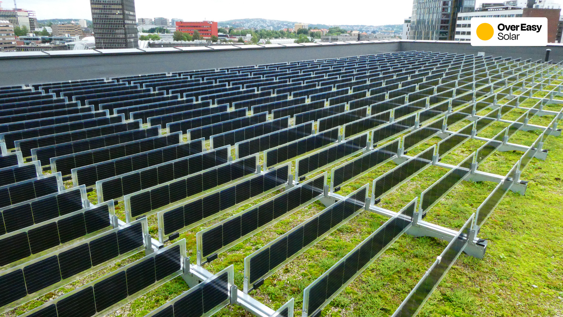 Smart Commercial Energy Introduces Over Easy Solar to Australia