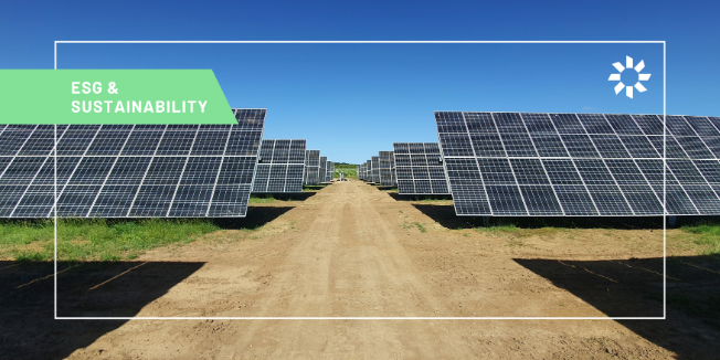The Next Decade of ESG and Climate Action: Key Milestones for ...