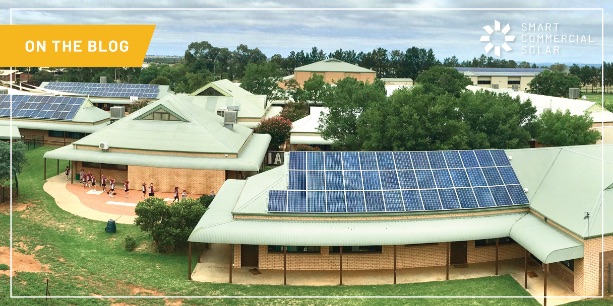 Achieving net zero for schools in 3 actionable steps